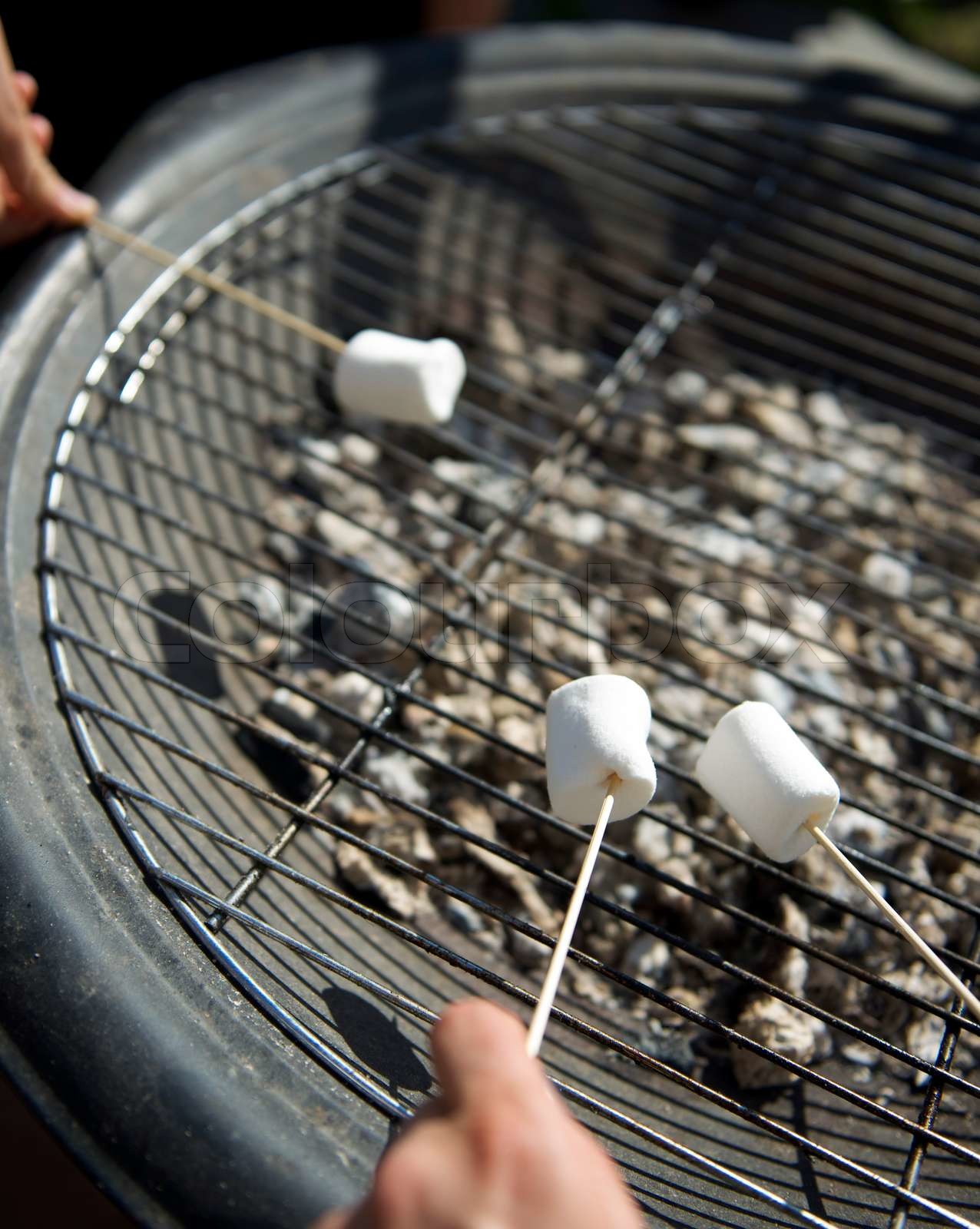 Marshmallow bbq | Stock image | Colourbox