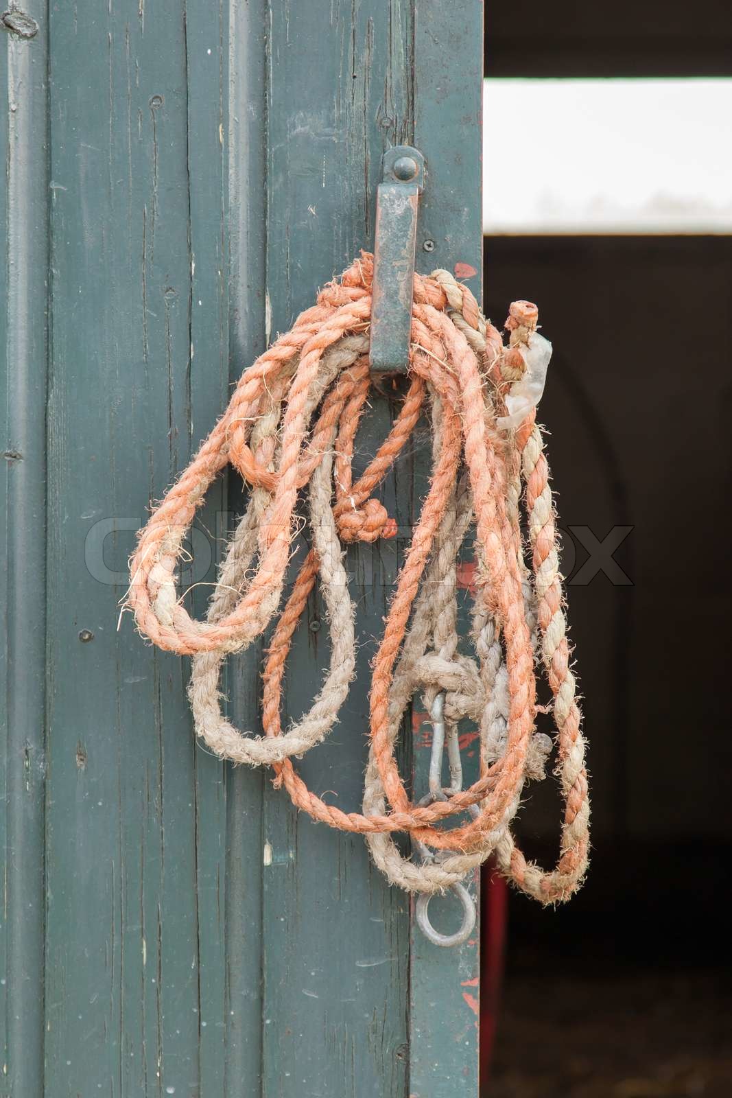 Old rope hanging | Stock image | Colourbox