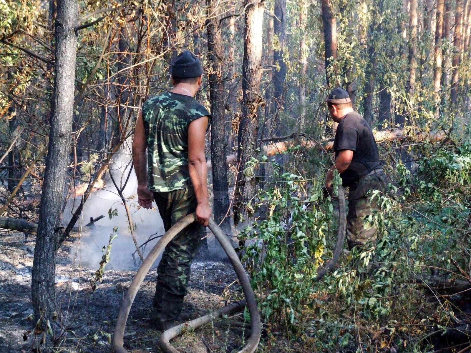 Firemen fighting a bushfire | Stock image | Colourbox