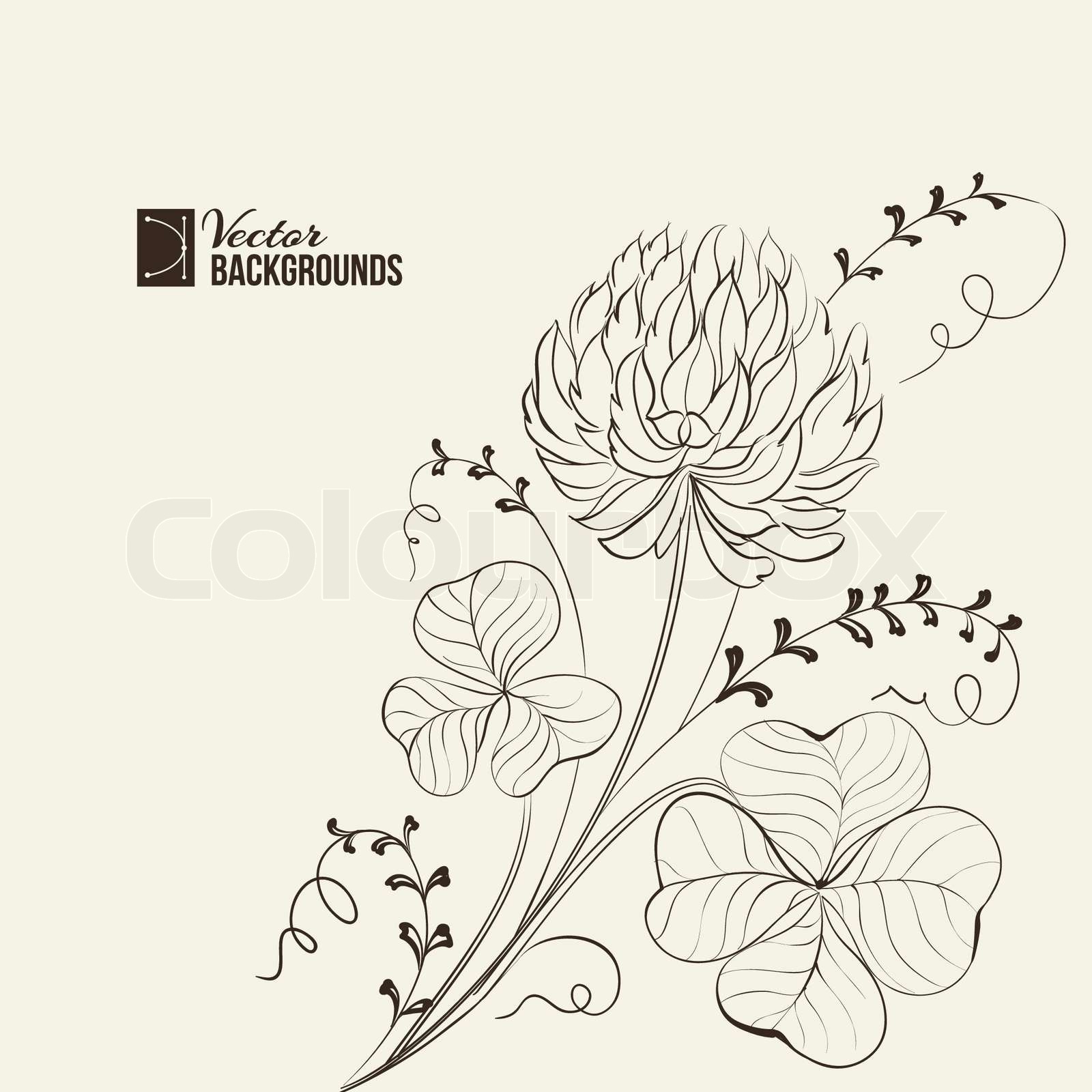 Karte mit Klee | Stock-Vektor | Colourbox