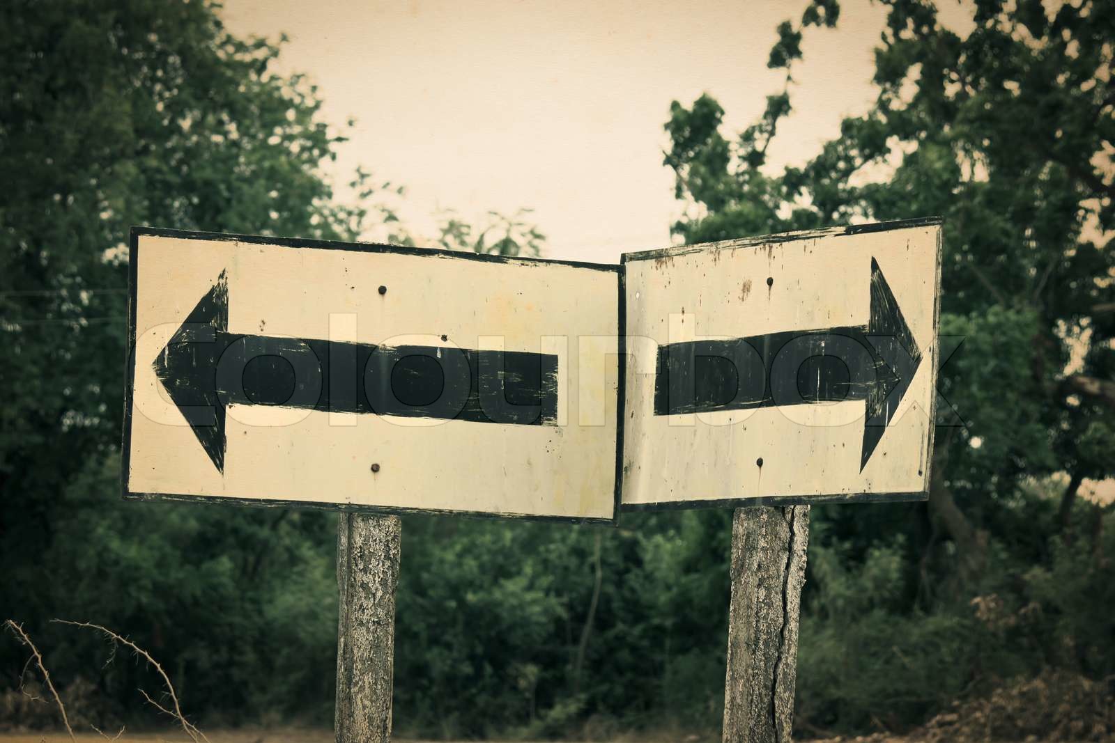 Two ways separate traffic sign | Stock image | Colourbox