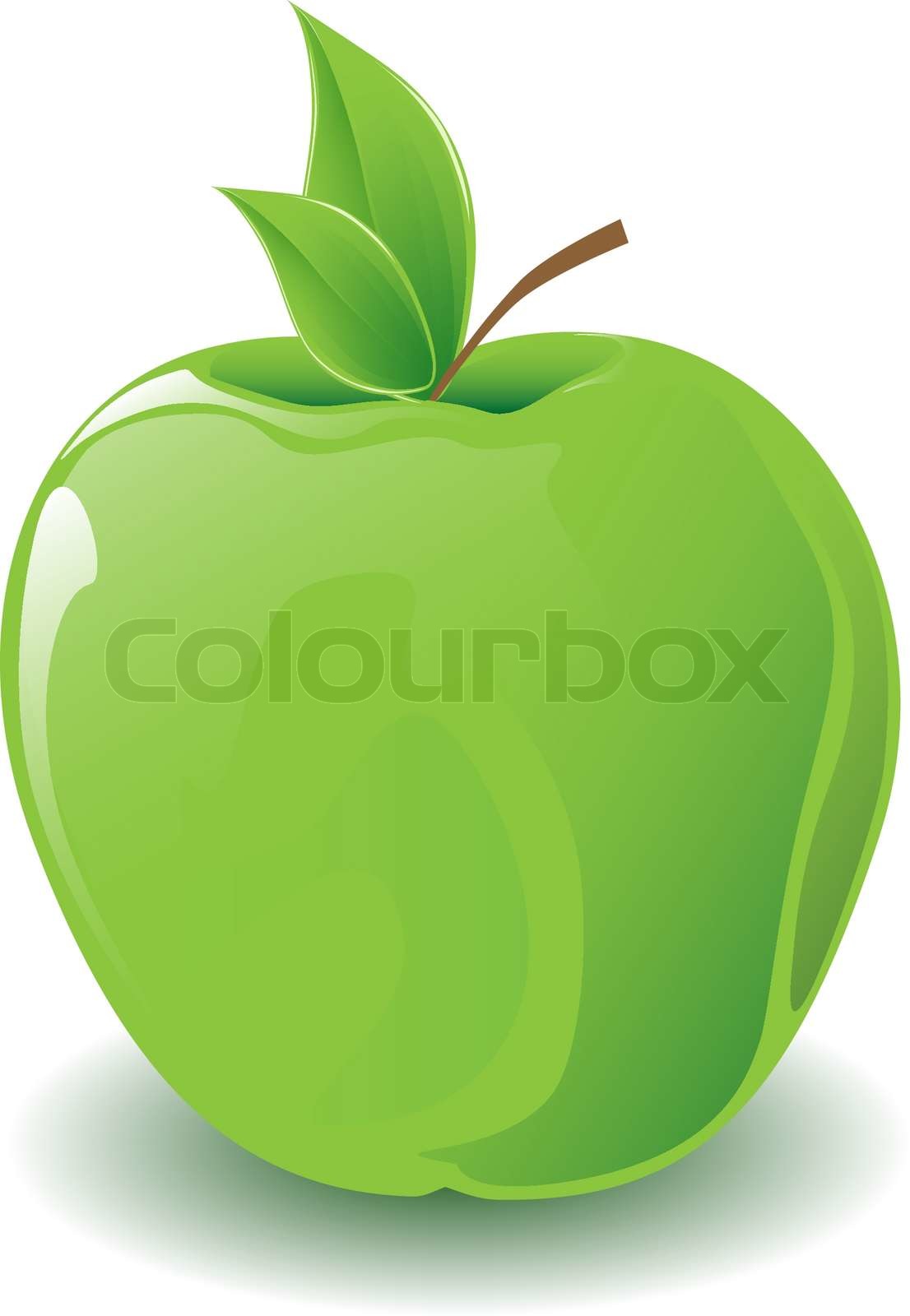 grüner Apfel | Stock-Vektor | Colourbox