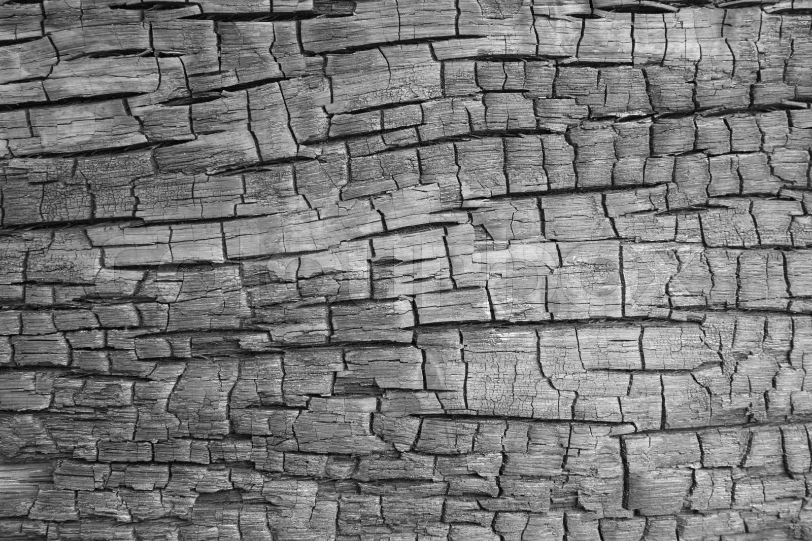 burnt wood texture | Stock image | Colourbox