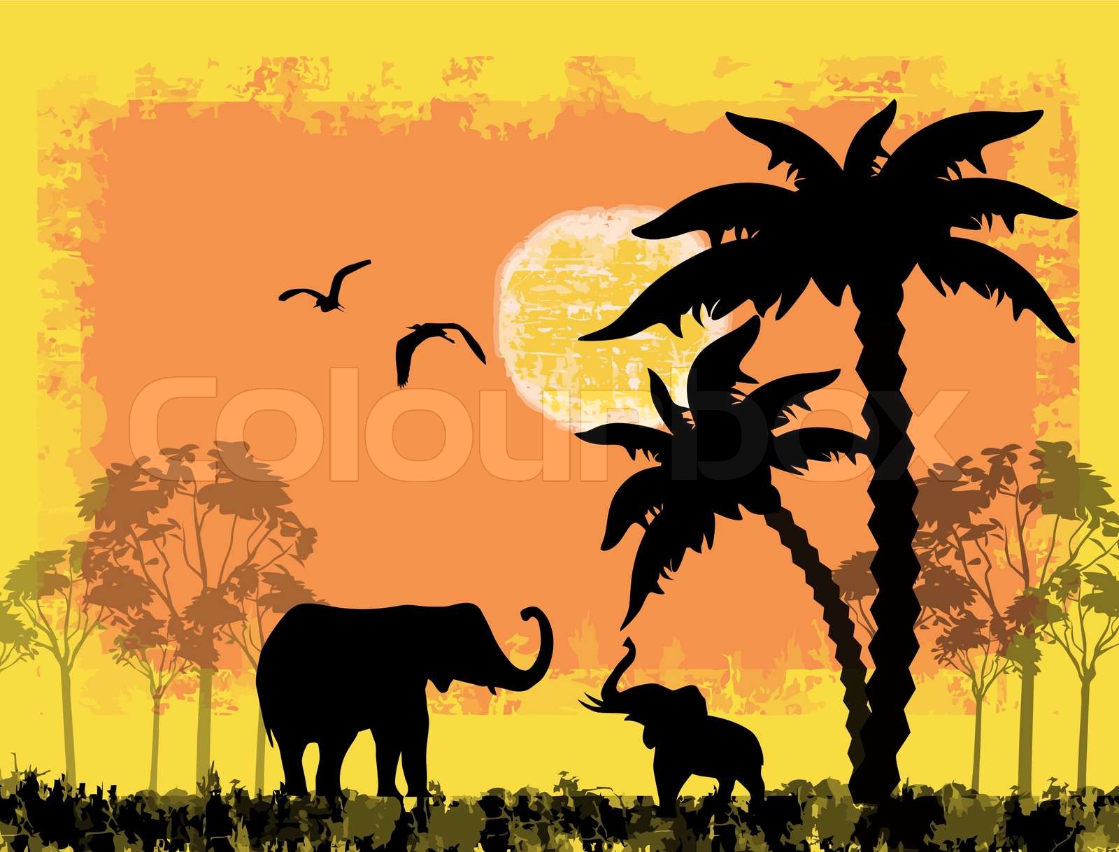 African safari theme with elephants | Stock vector | Colourbox