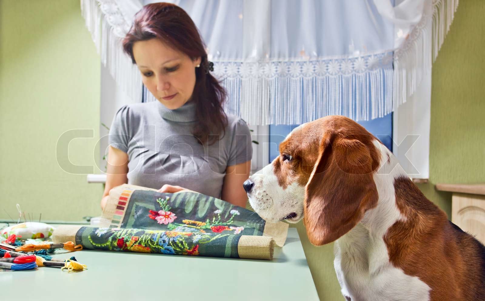 Begleiter | Stock Bild | Colourbox