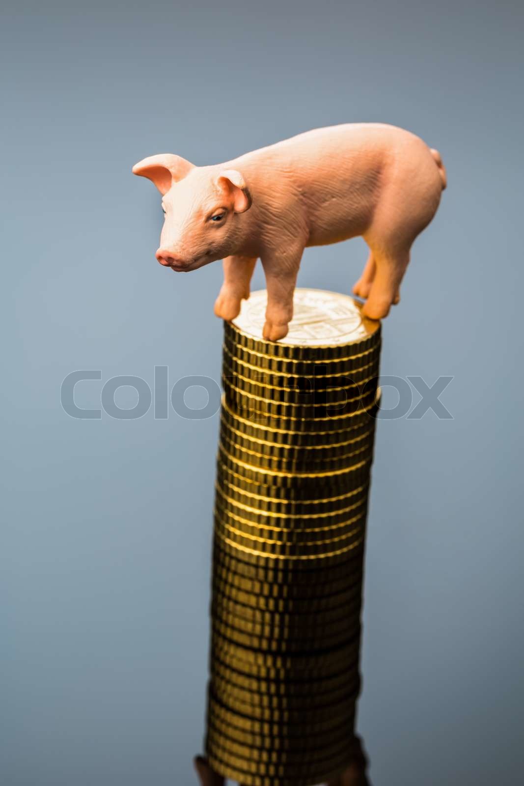 pig on stack of coins | Stock image | Colourbox