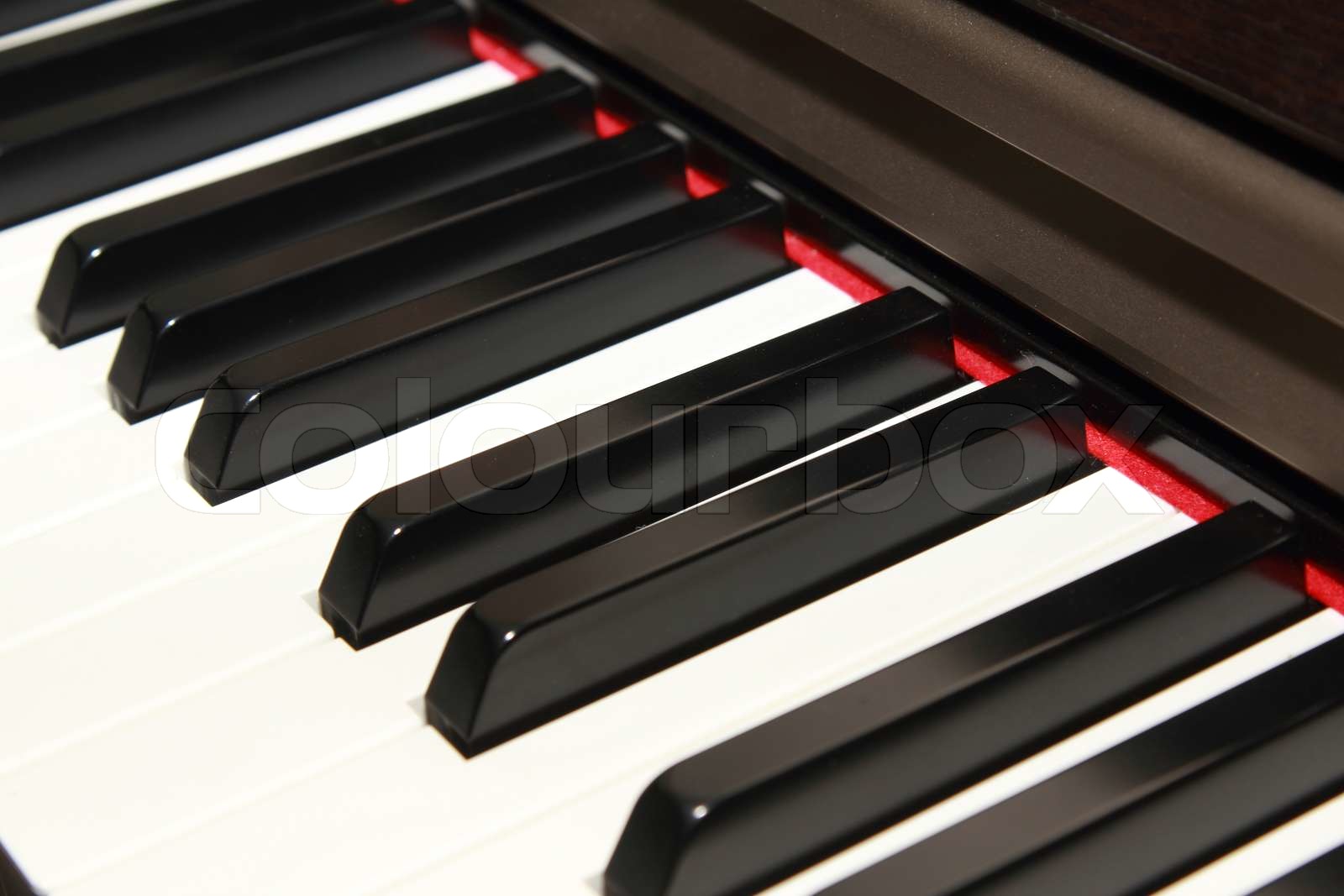 side viewof piano key | Stock image | Colourbox