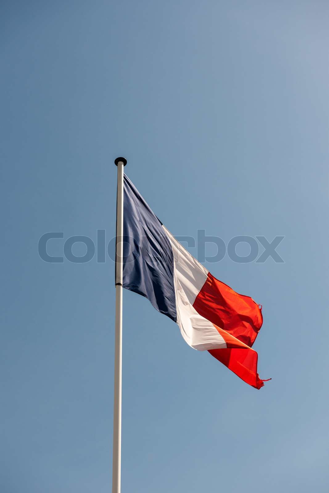 Fransk flag | Stock foto | Colourbox
