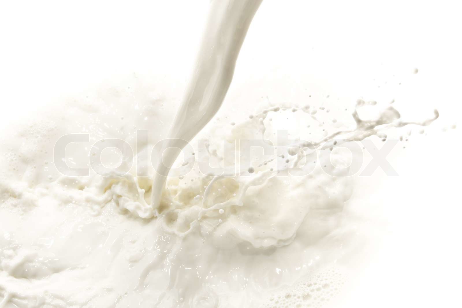 milk splash | Stock image | Colourbox