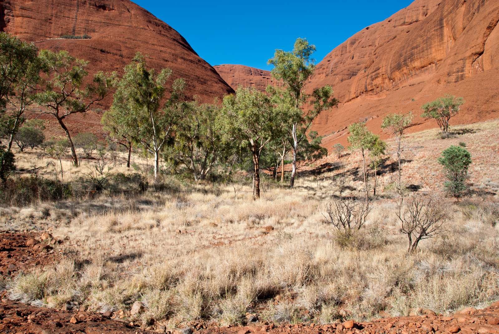 Colors of Australian Outback during Winter Season | Stock image | Colourbox