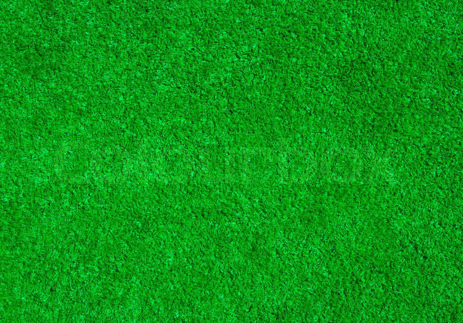 Background of a green grass | Stock image | Colourbox