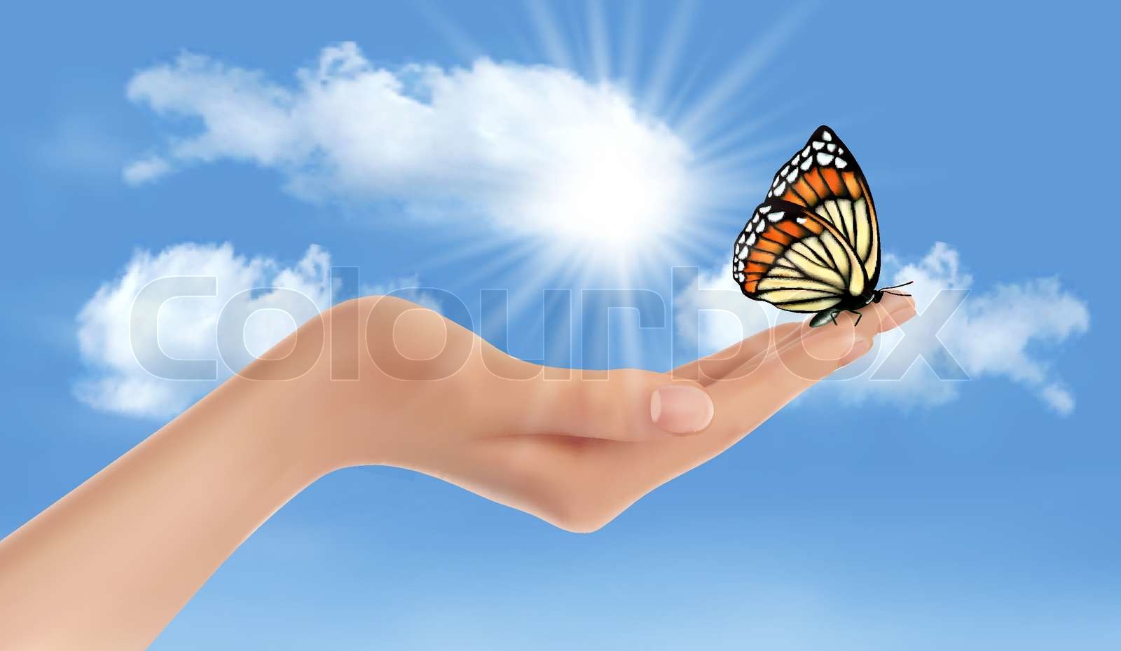 Butterflies Flying Out Of Hands