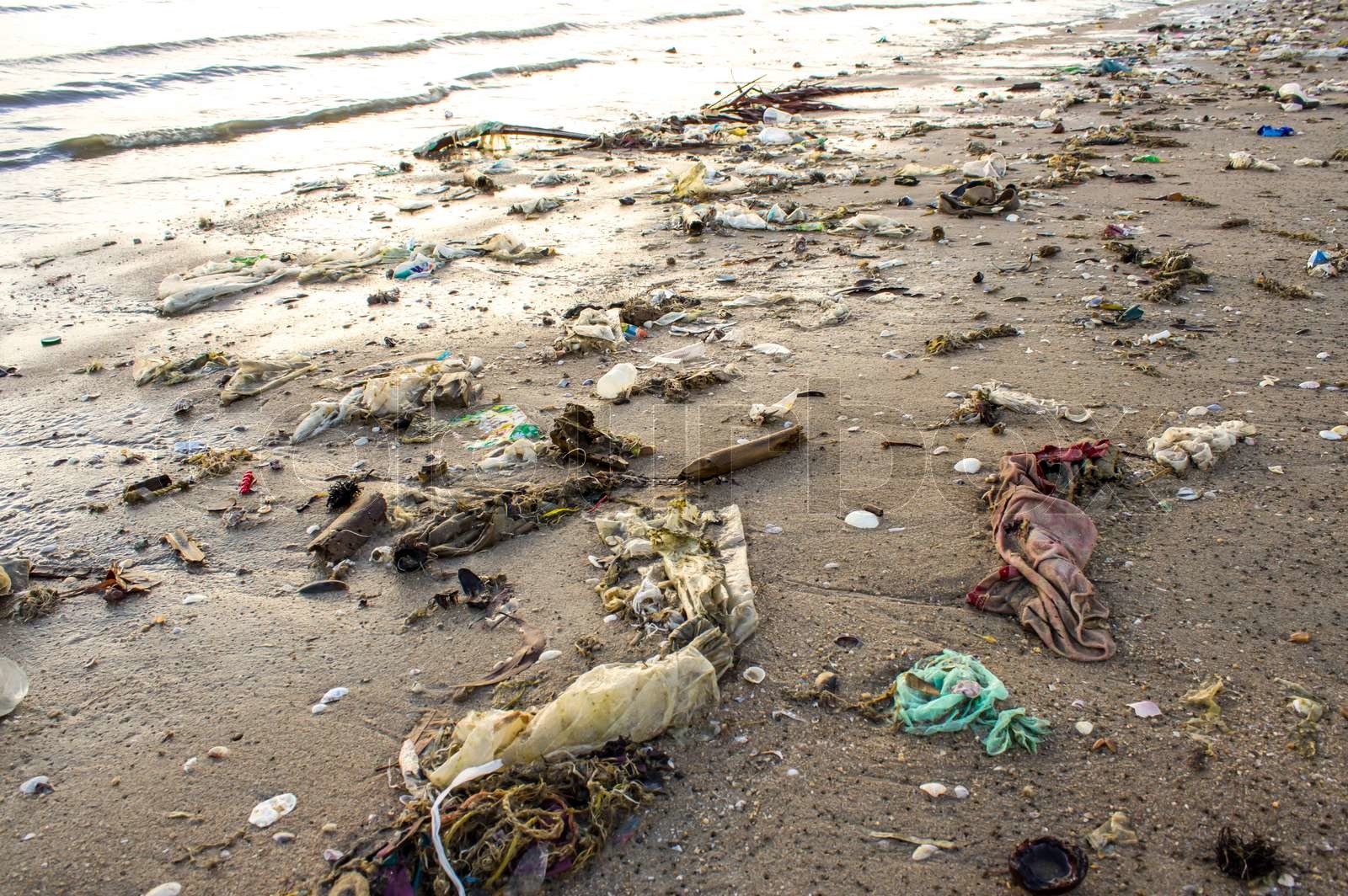 Very polluted beach | Stock image | Colourbox