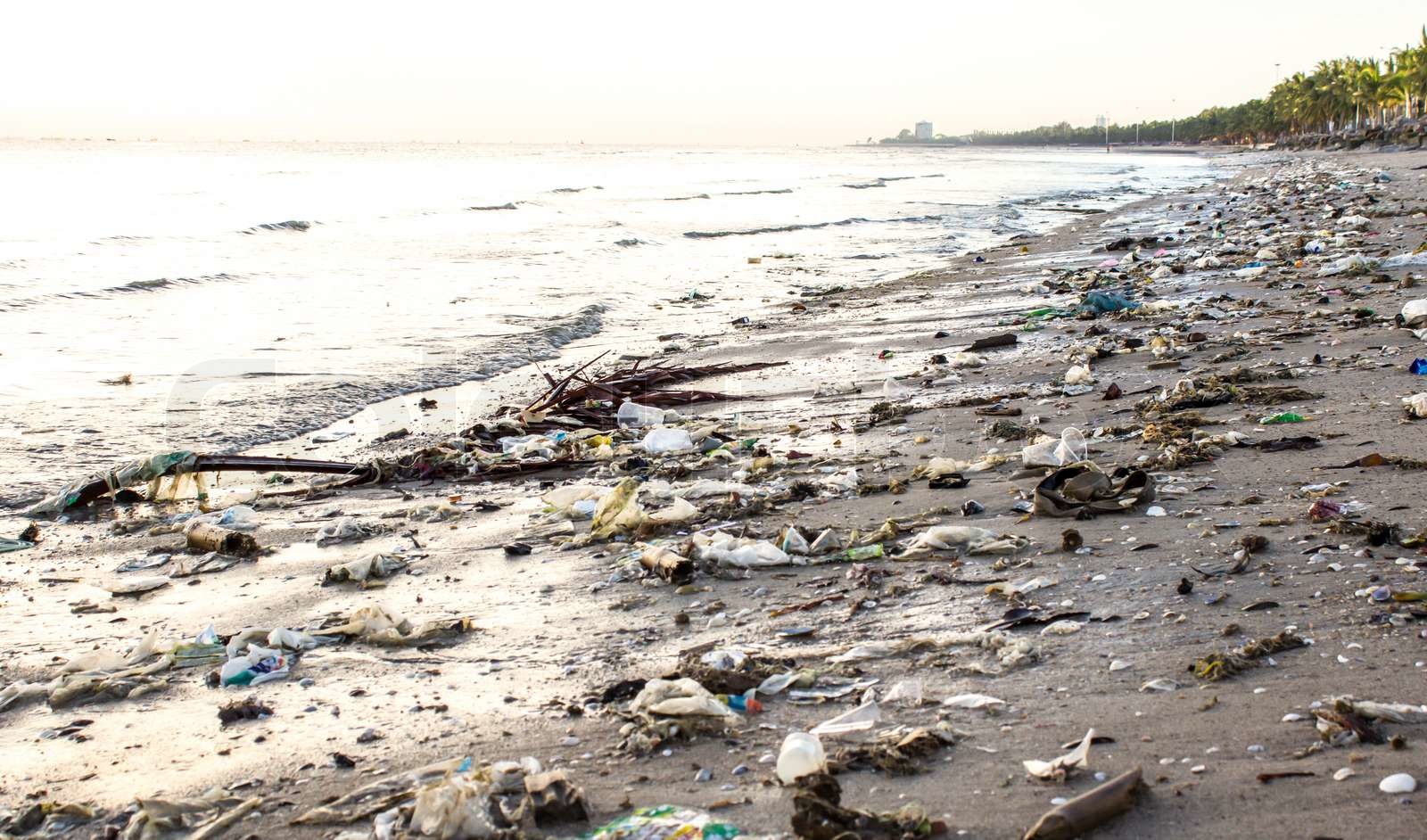 Very polluted beach | Stock image | Colourbox