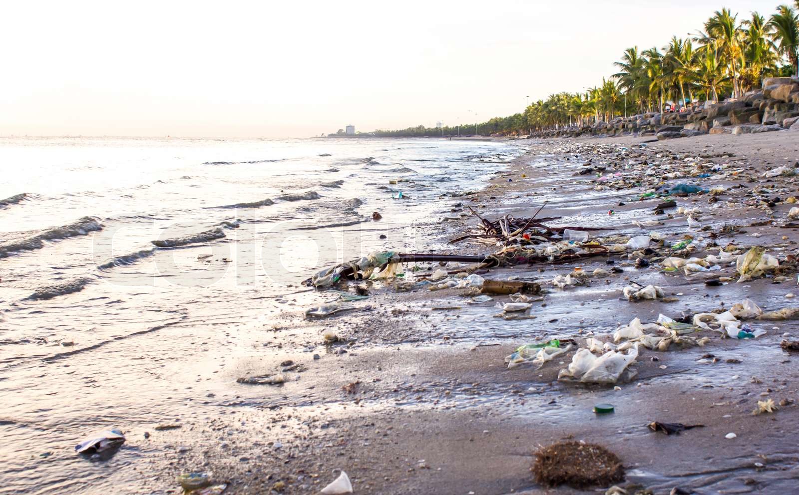 Very polluted beach | Stock image | Colourbox