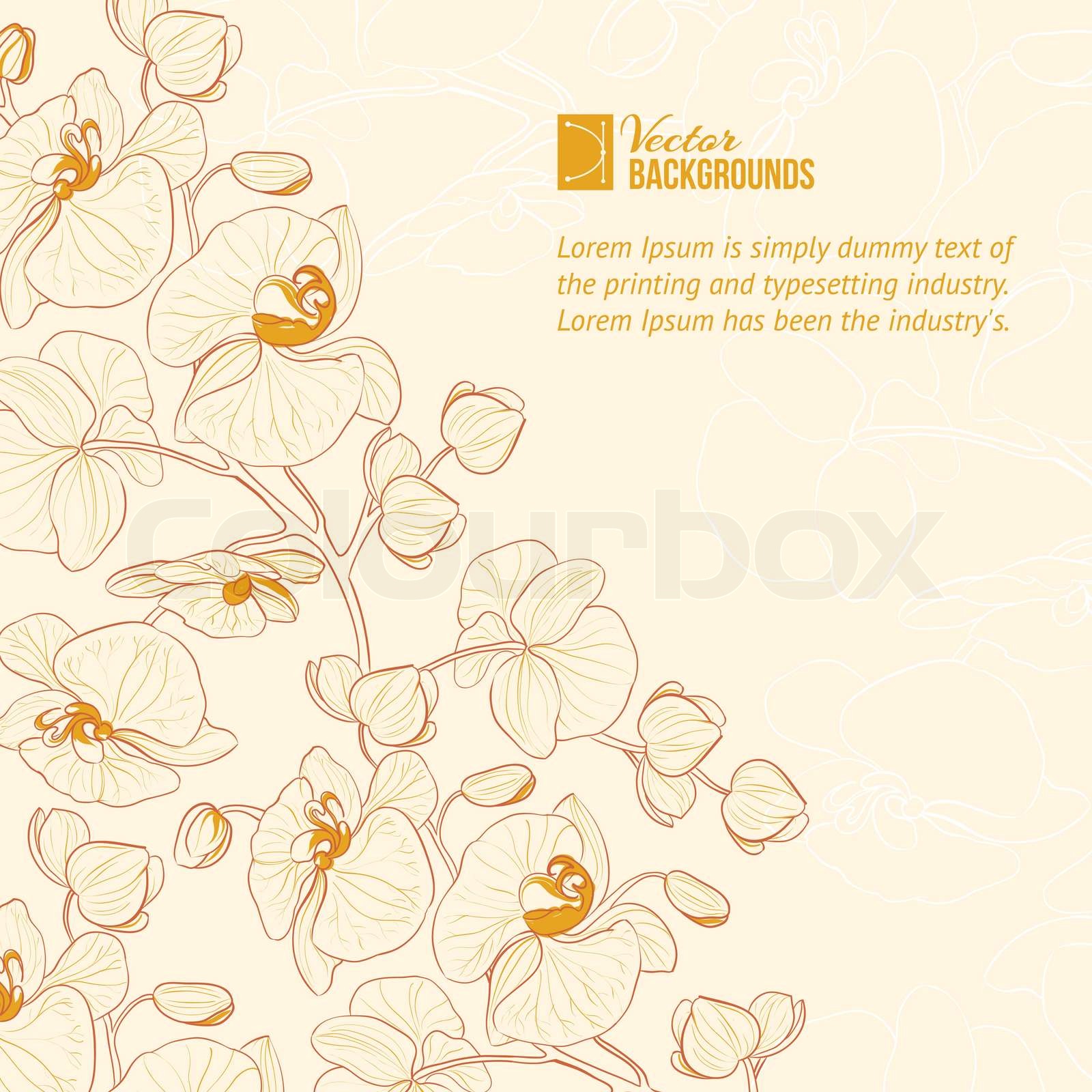 Orchid flower label | Stock vector | Colourbox