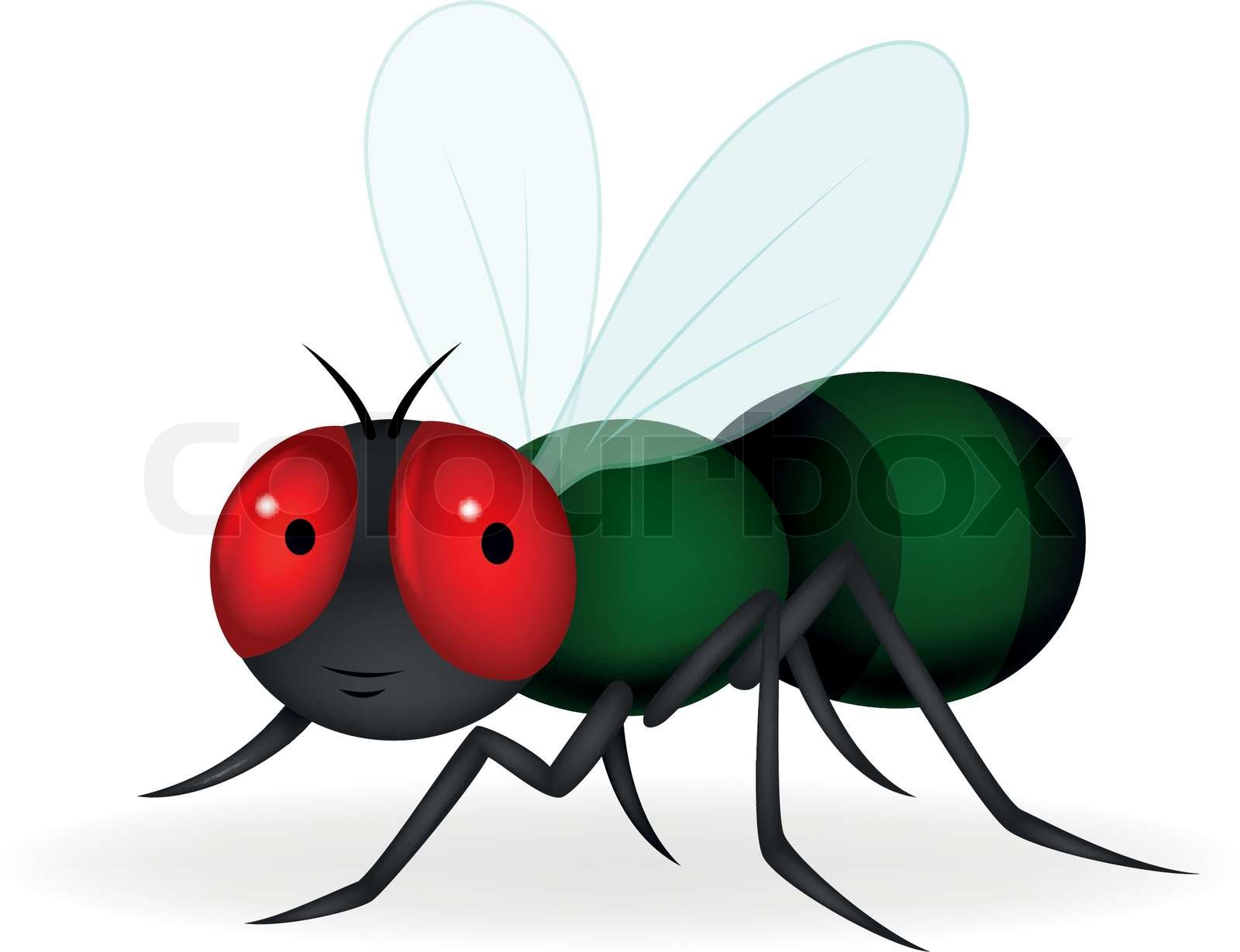 Green fly cartoon | Stock vector | Colourbox