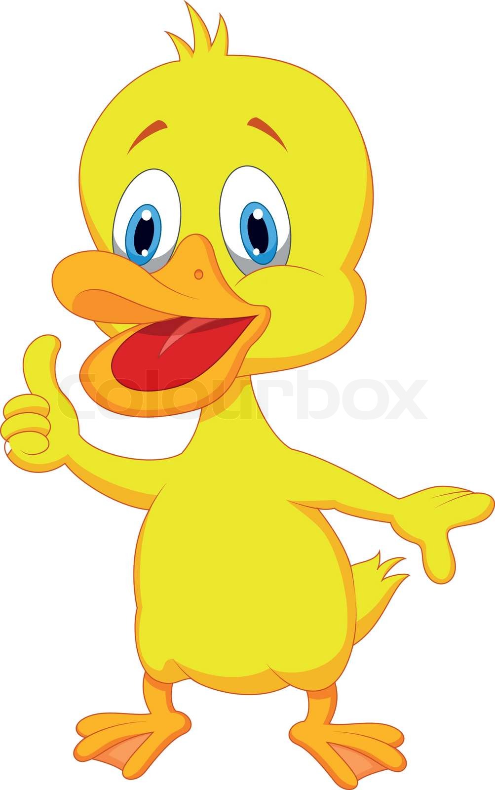 Duck cartoon thumb up | Stock vector | Colourbox