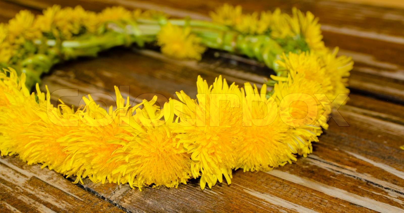 Floral garland made of yellow flowers | Stock image | Colourbox
