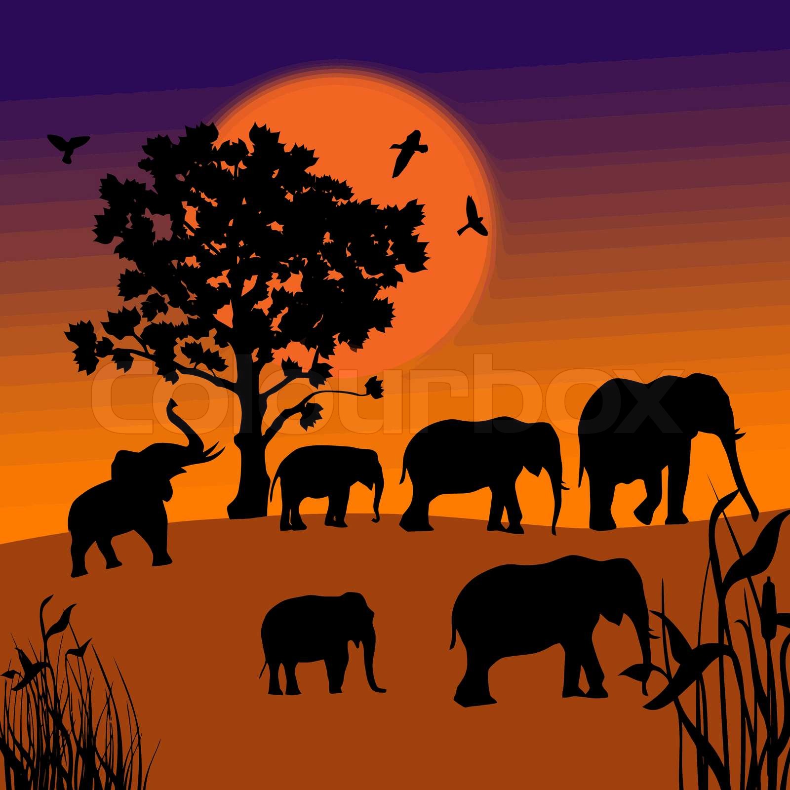 Sunset in the savanna | Stock vector | Colourbox