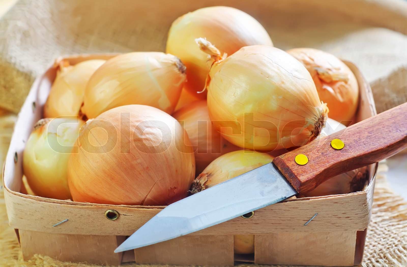 onion | Stock image | Colourbox