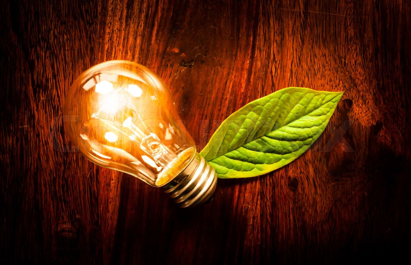 Light bulb with a leaf | Stock image | Colourbox