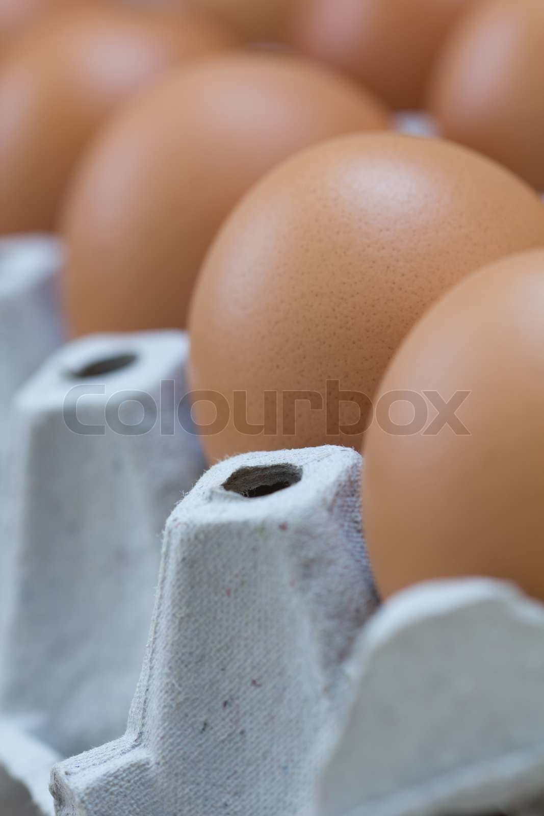 egg is row | Stock image | Colourbox