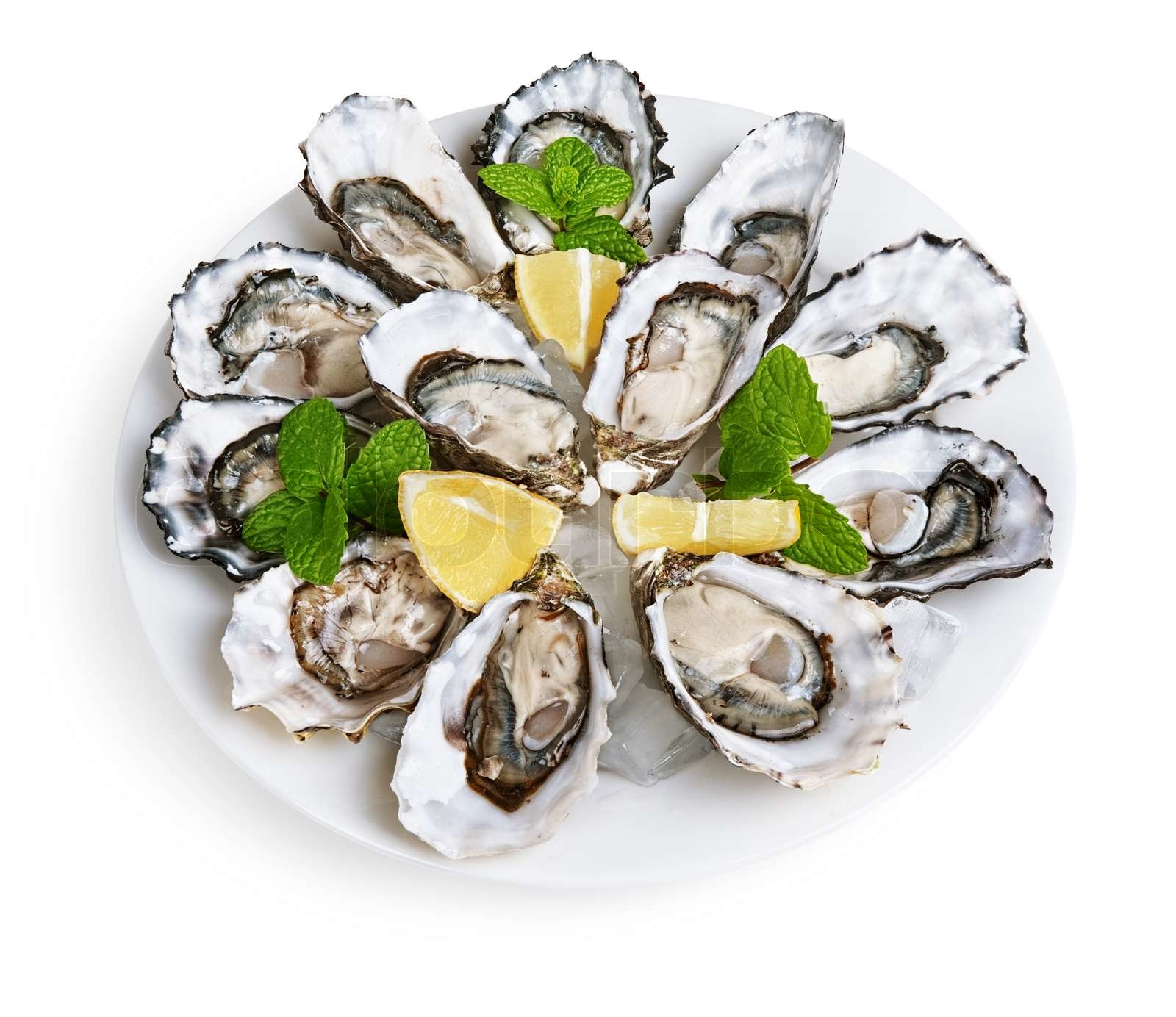 Dutzend Austern auf weißem Teller | Stock Bild | Colourbox