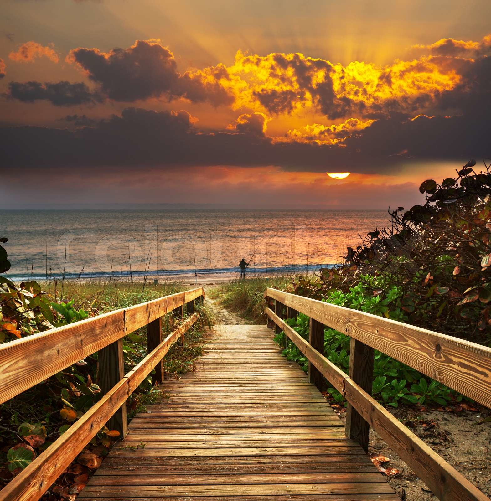 Boardwalk on beach | Stock image | Colourbox