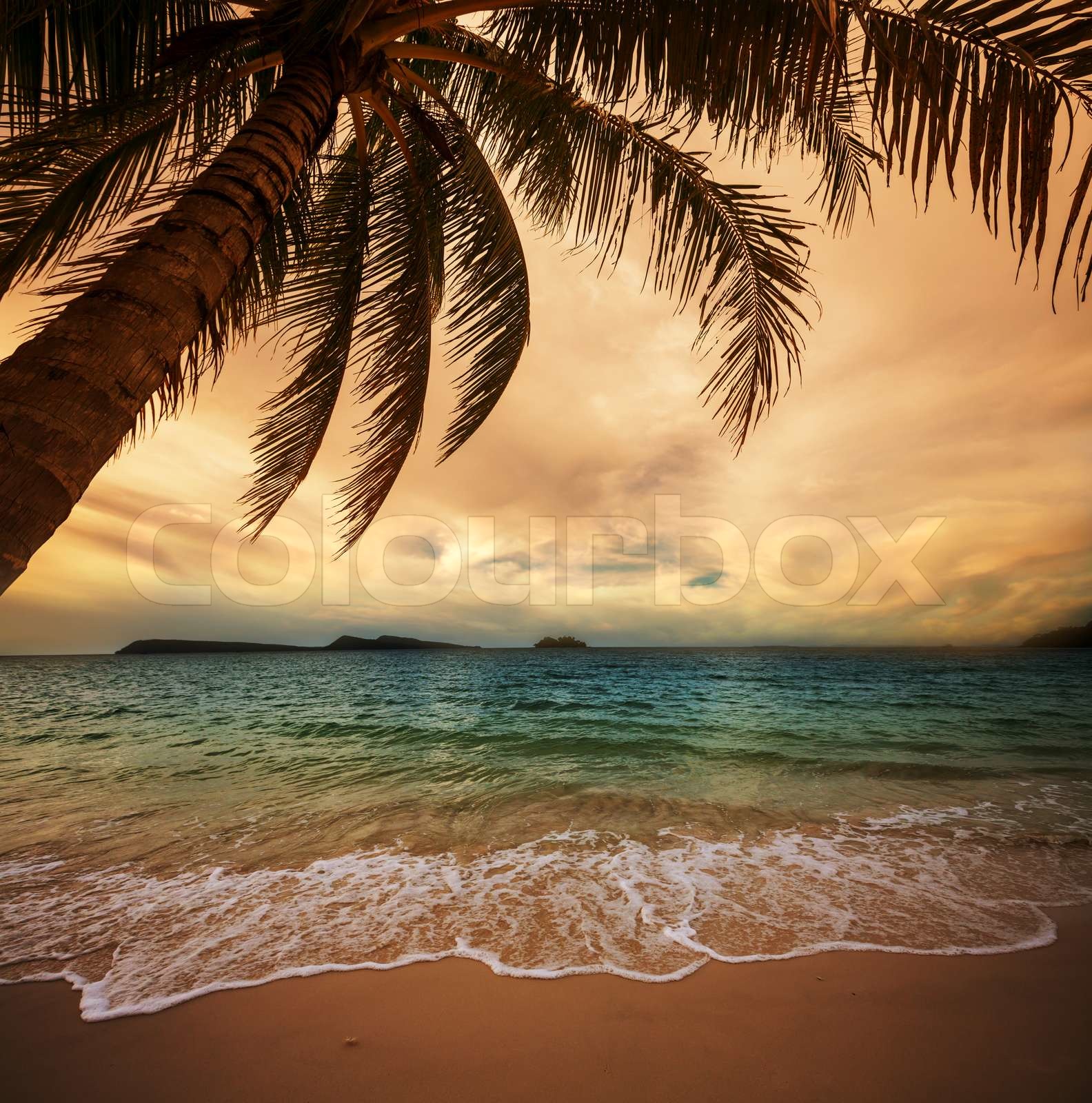 Tropical Beach Stock Image Colourbox