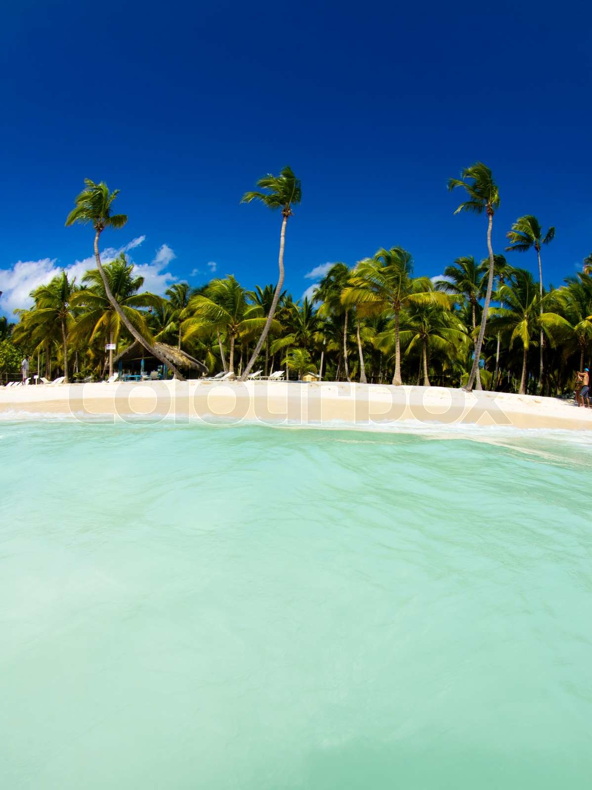 beach | Stock image | Colourbox