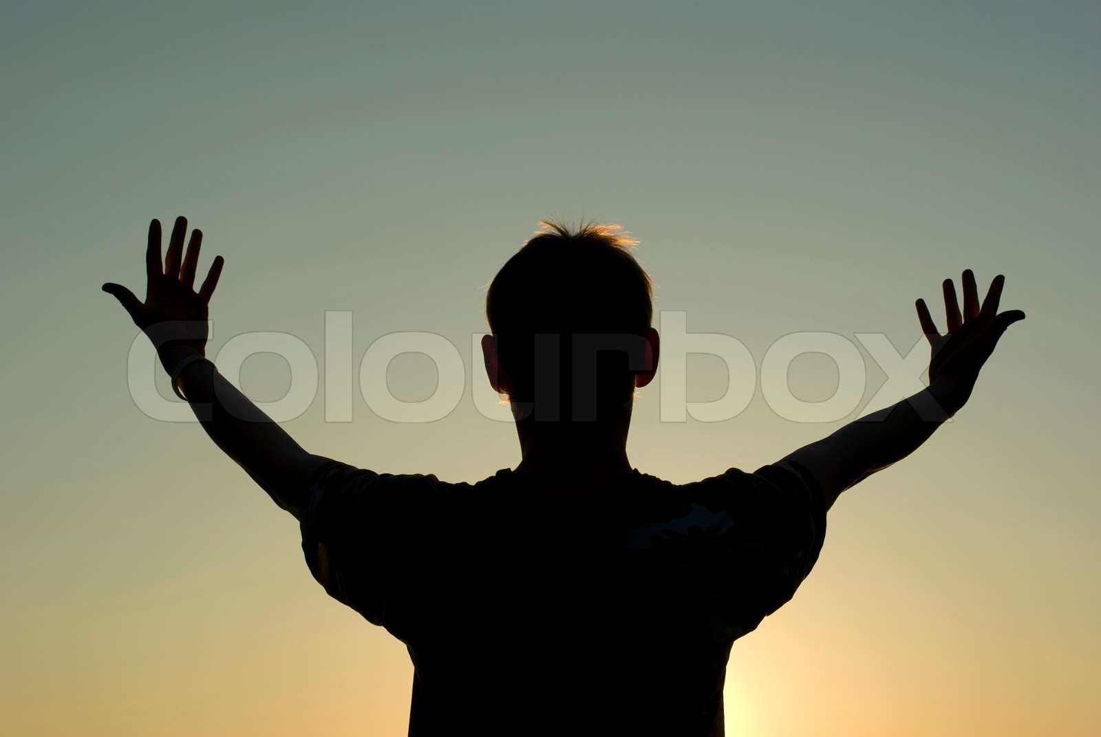 heaved Hände | Stock Bild | Colourbox