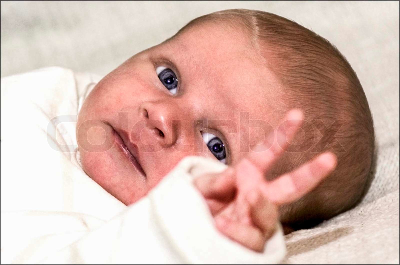 Peace sign | Stock image | Colourbox