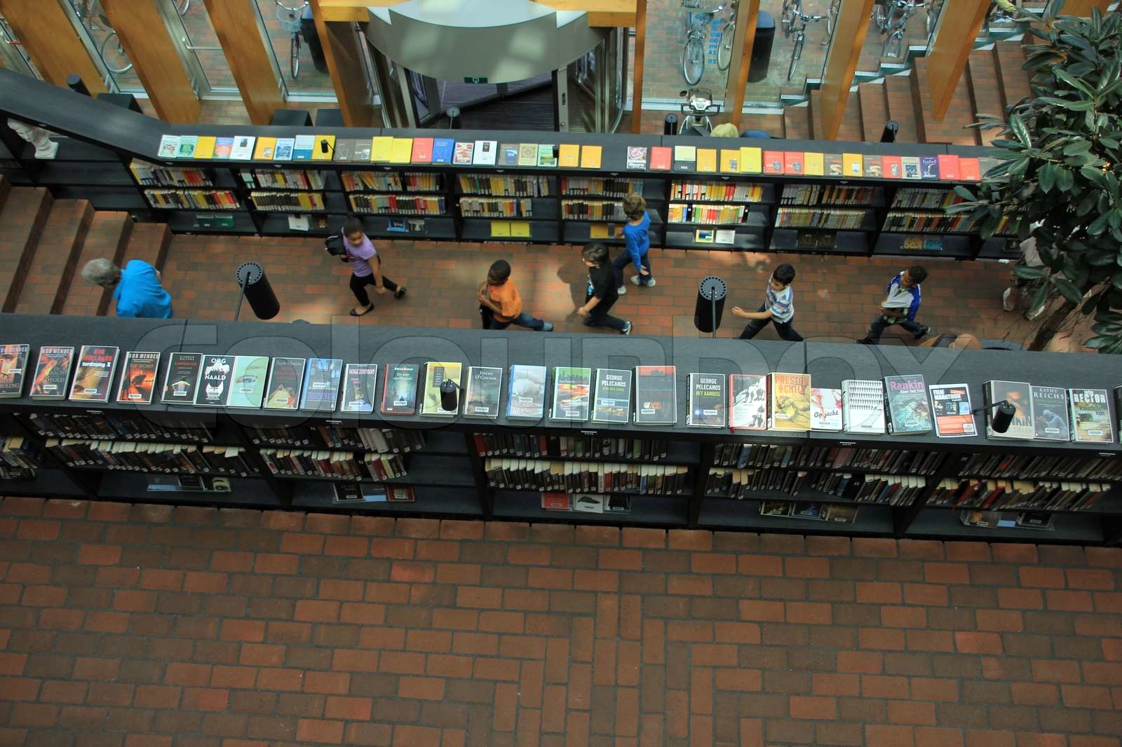 Walking youth in library. | Stock image | Colourbox