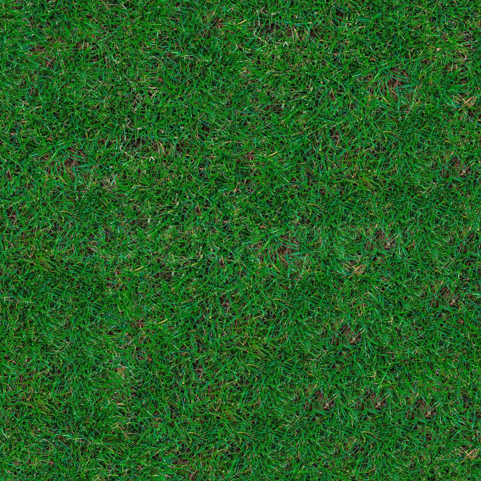 Seamless Grass Pattern