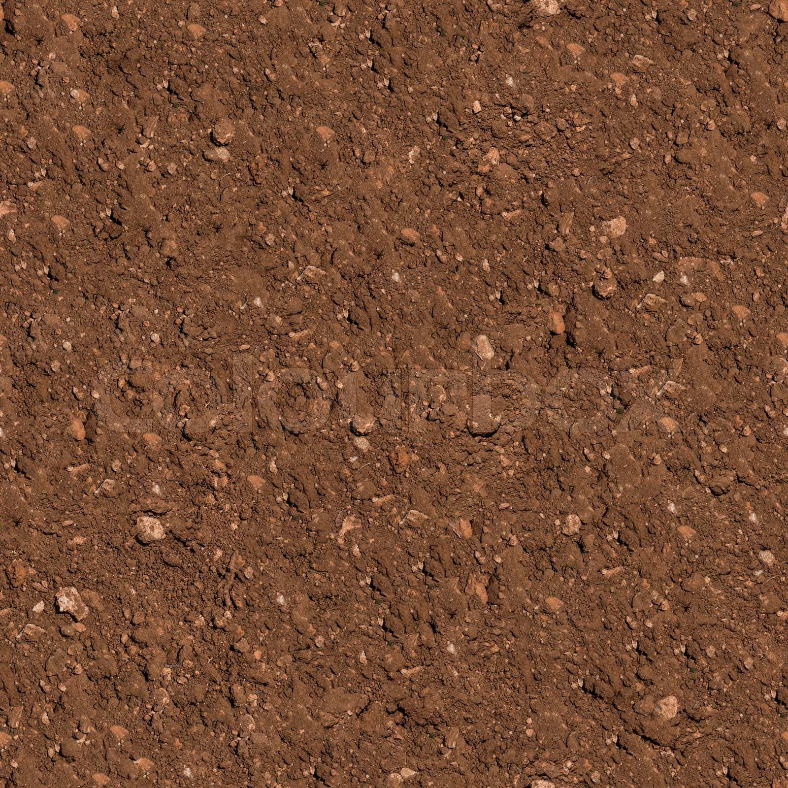 Jord Seamless Texture | Stock foto | Colourbox