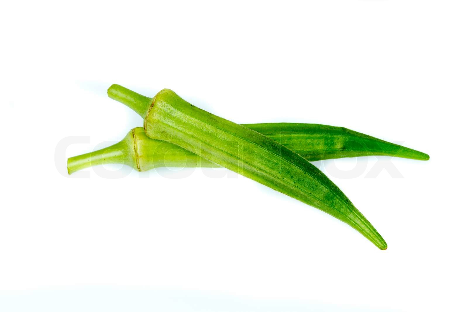 okra | Stock image | Colourbox