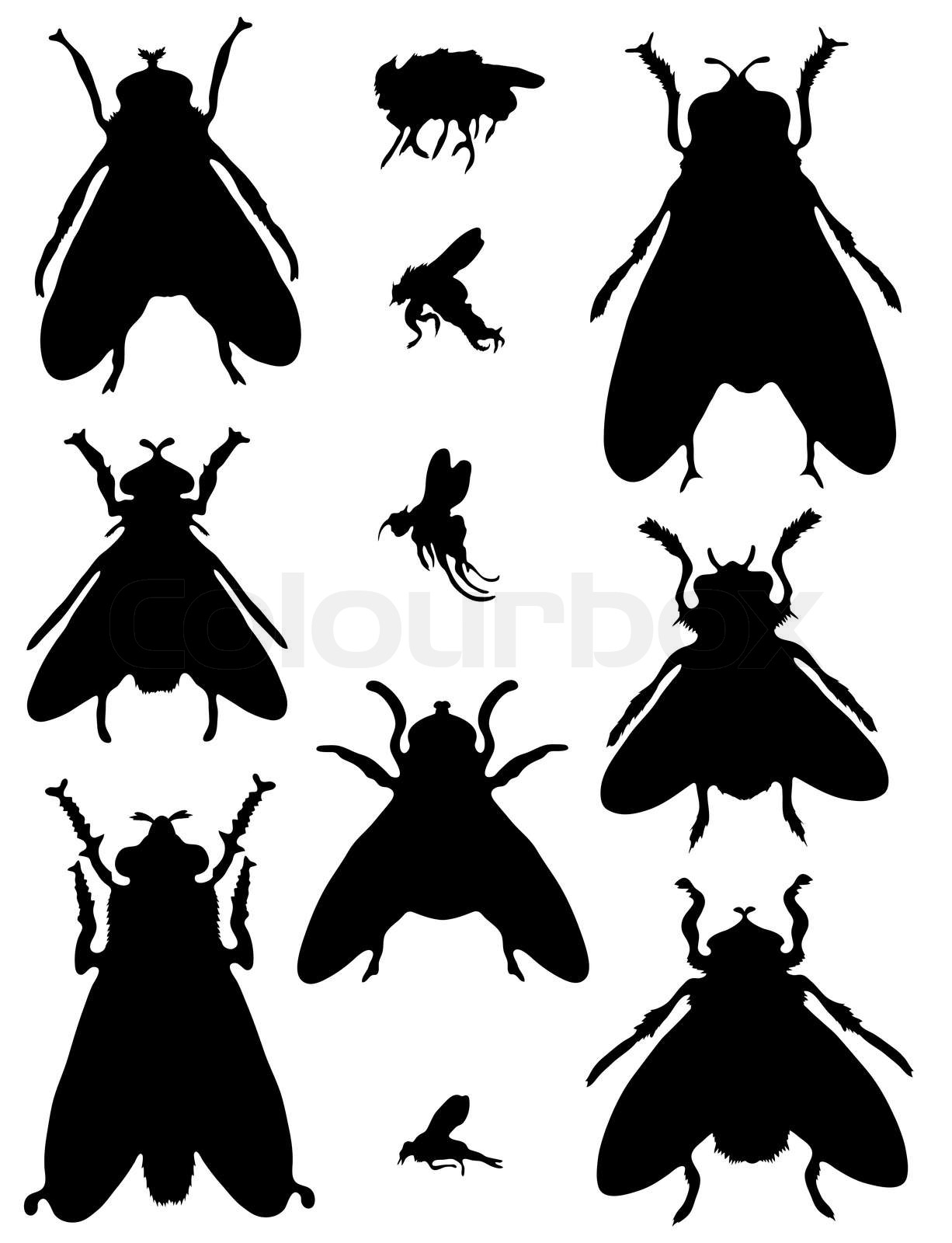 Collection of silhouettes of flies | Stock vector | Colourbox