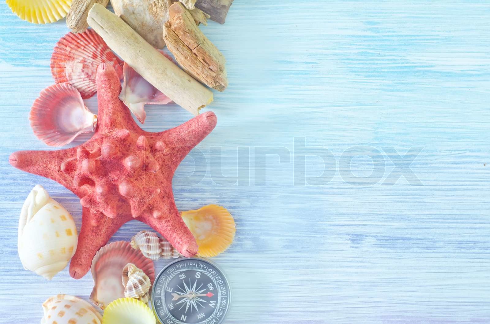 sea shells and compass | Stock image | Colourbox