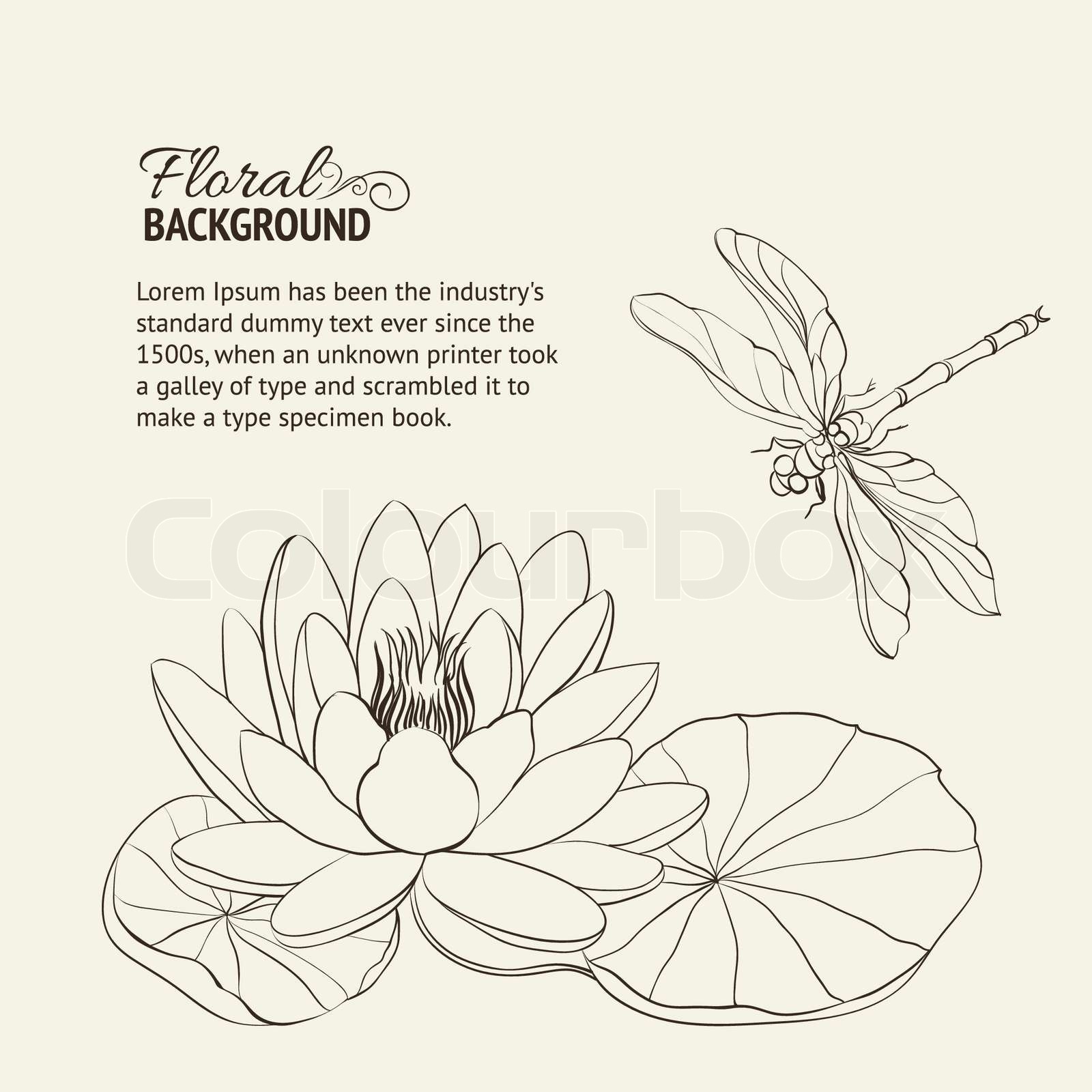 Water Lily and dragonfly | Stock vector | Colourbox