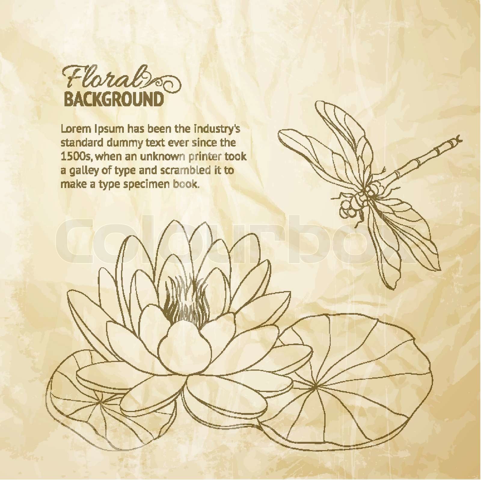 Water Lily and dragonfly | Stock vector | Colourbox