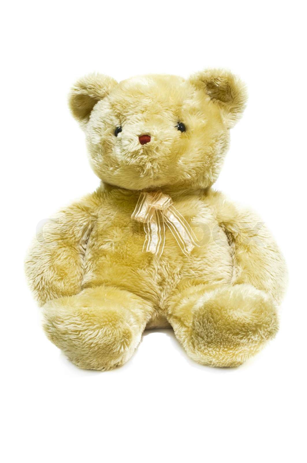 Teddy Bear | Stock Bild | Colourbox