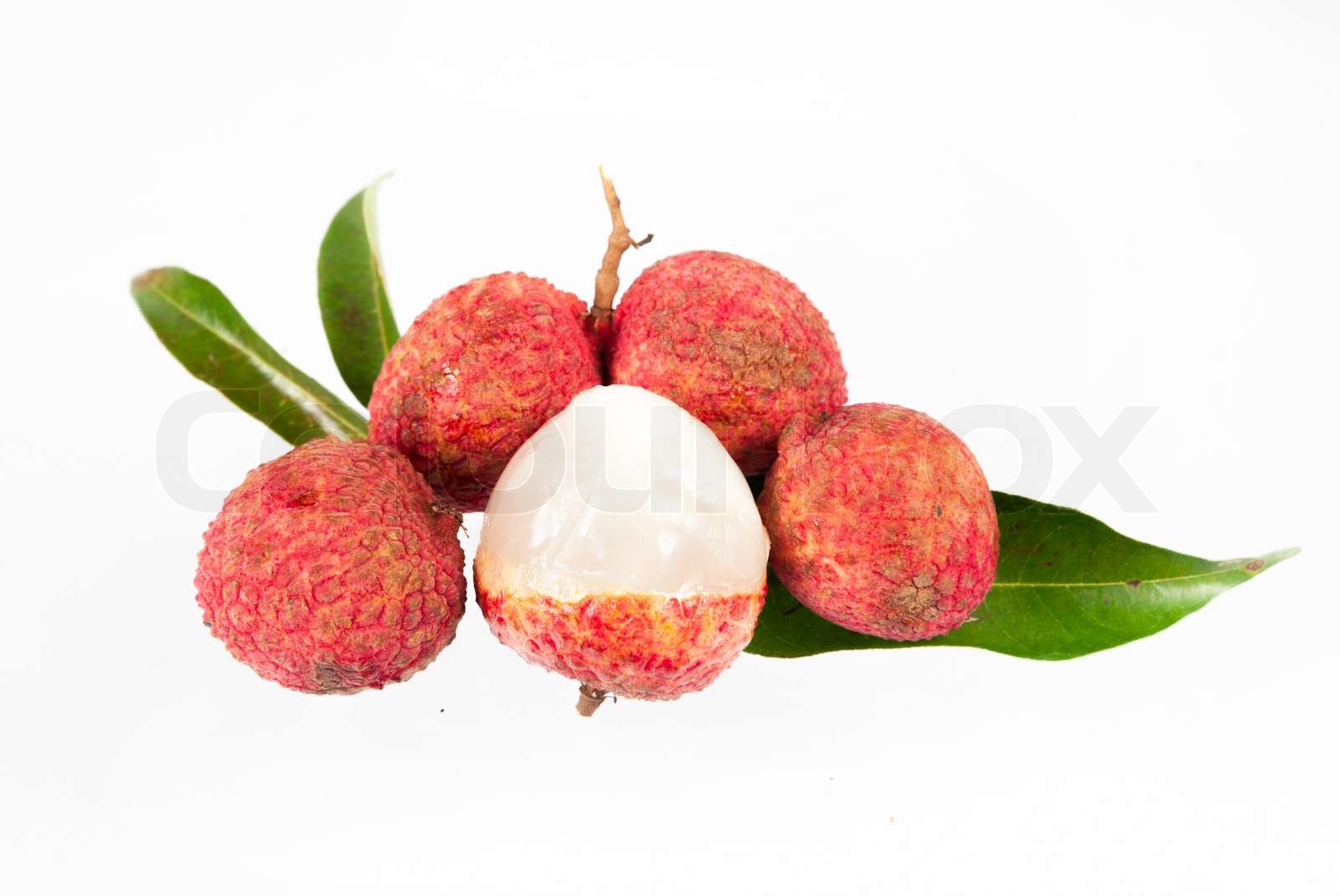 Reife Früchte des Litchi chinensis Litschi Baum | Stock Bild | Colourbox