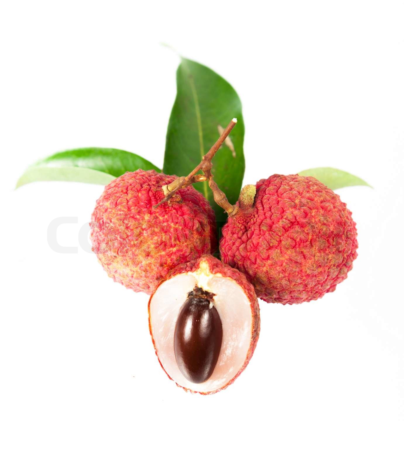Ripe fruit of the lychee tree Litchi chinensis | Stock image | Colourbox