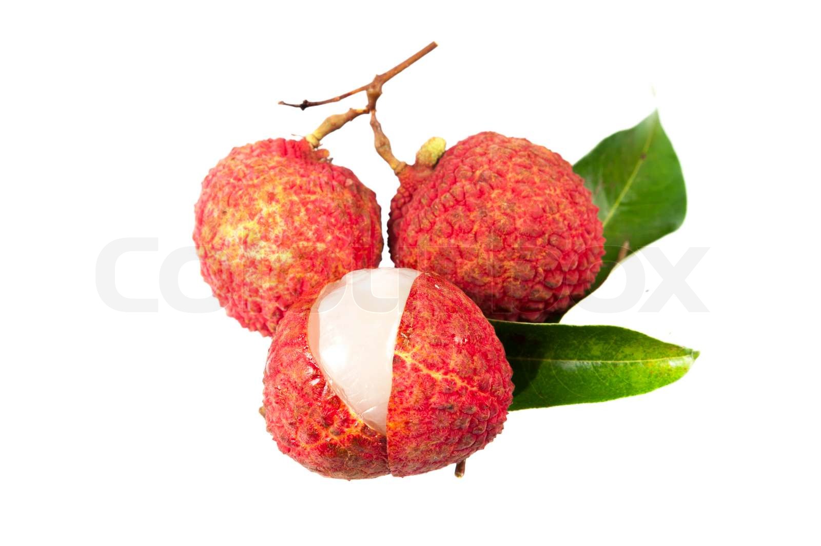 Ripe fruit of the lychee tree Litchi chinensis | Stock image | Colourbox