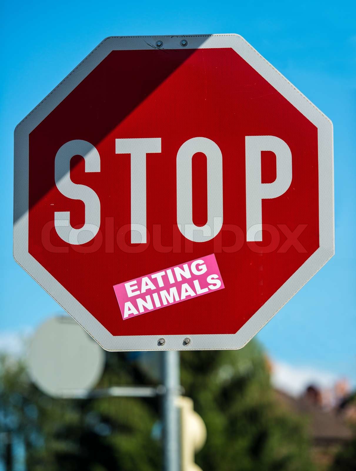 stop eating animals | Stock image | Colourbox
