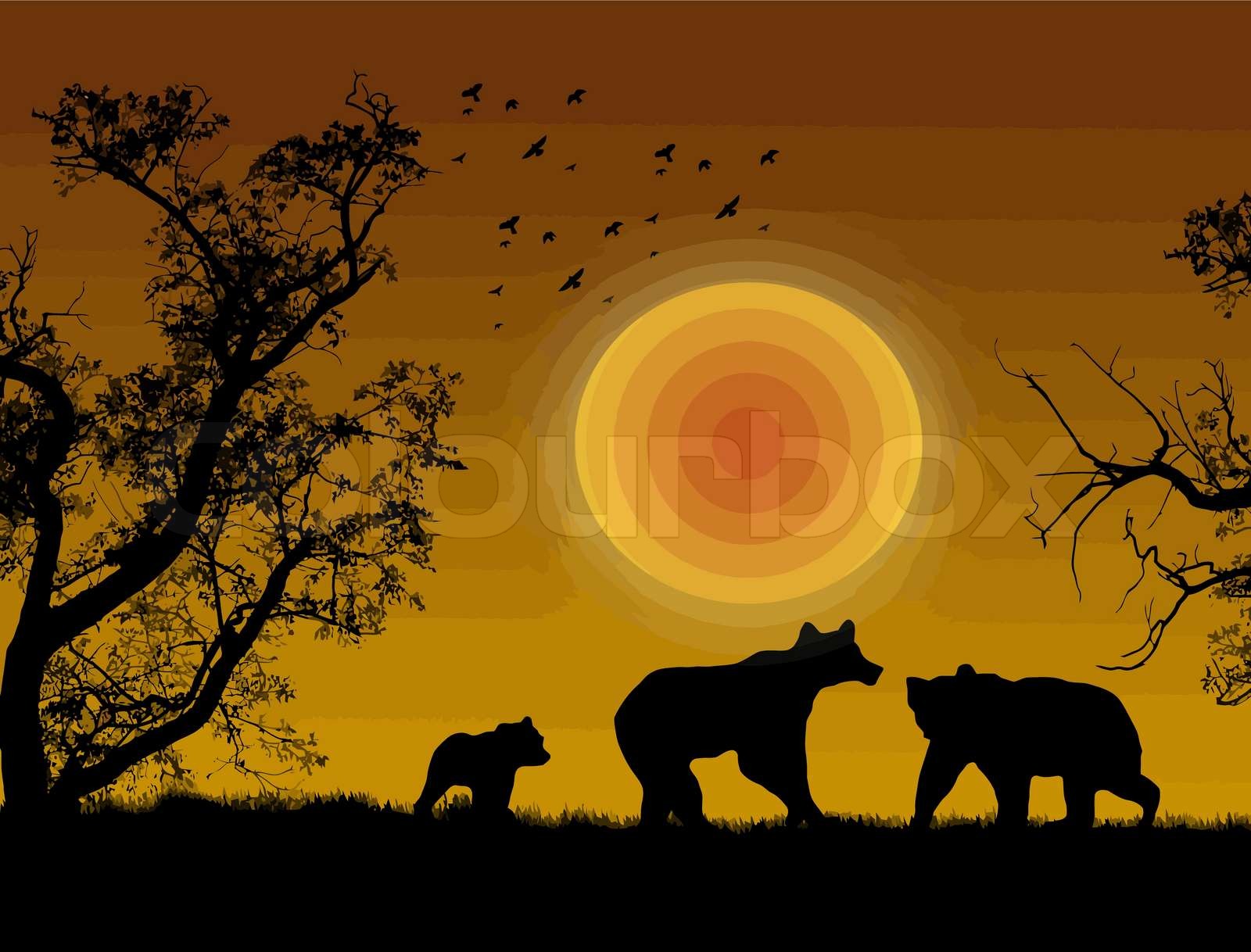 Bears on sunset | Stock vector | Colourbox