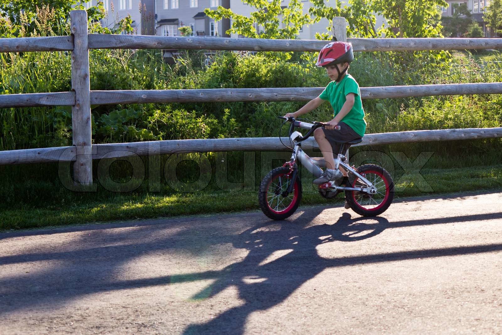 Child bicycling on the bike path in the park | Stock image | Colourbox