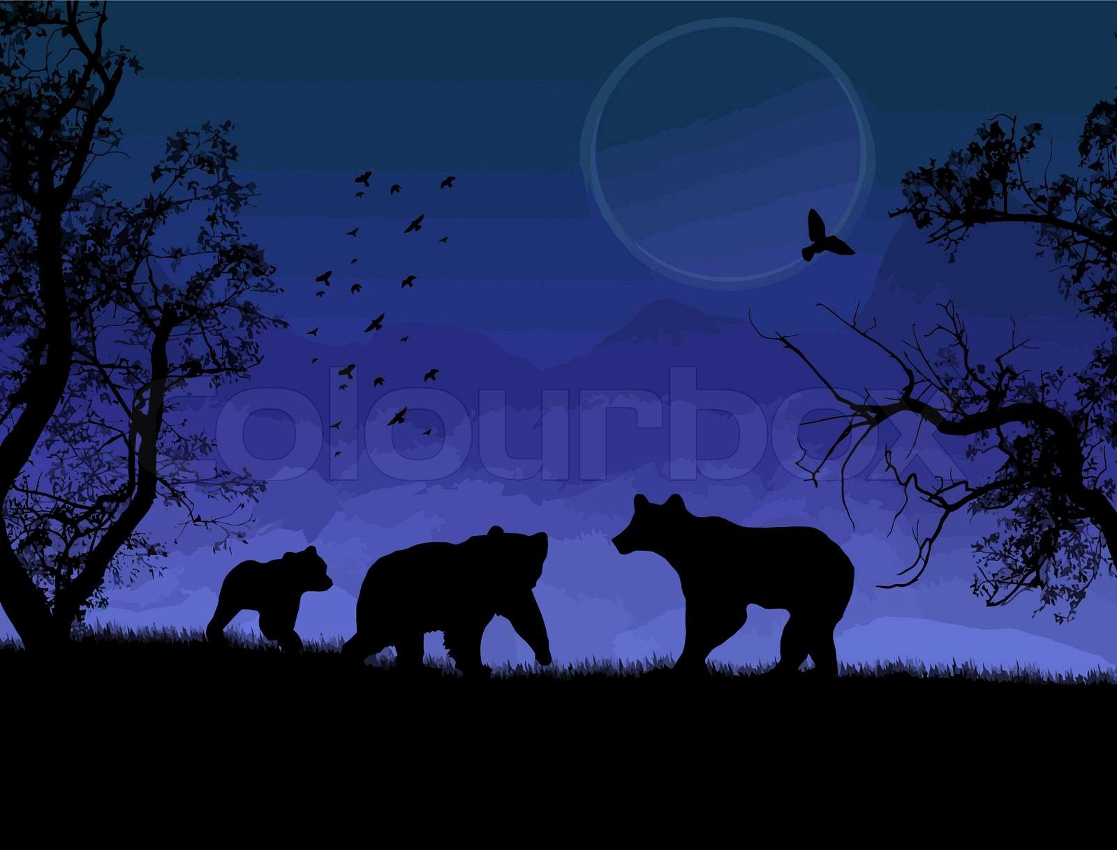 Wild bears | Stock vector | Colourbox