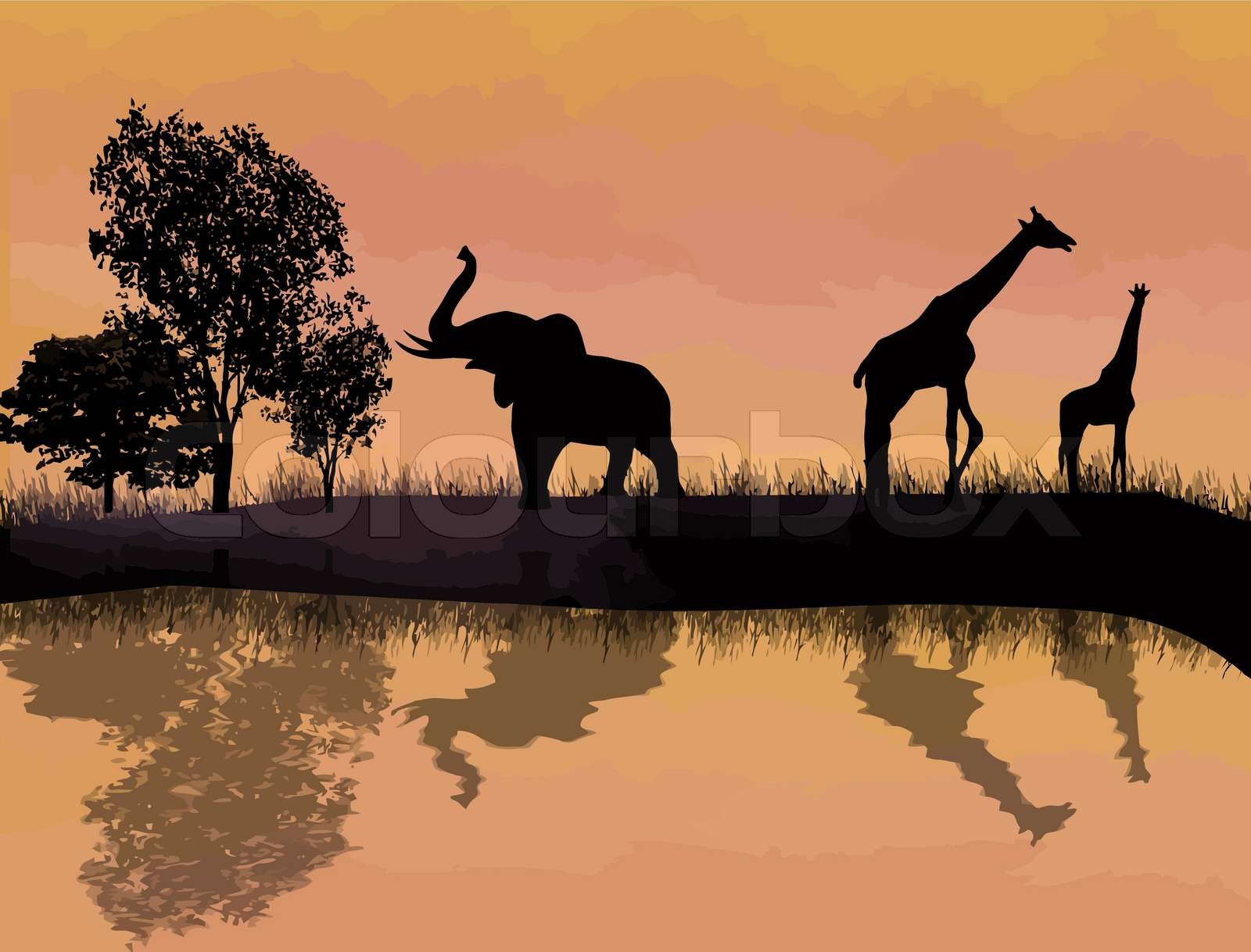 Safari in Africa | Stock vector | Colourbox